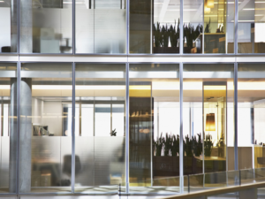 Company Overview – Alliance Insurance